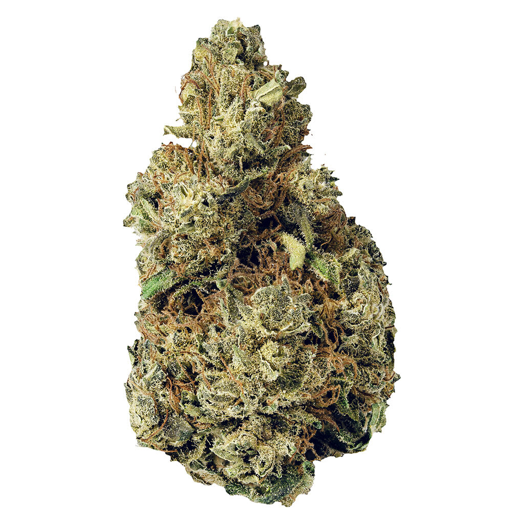 Resting Gas Face | URBNBUD Craft Cannabis